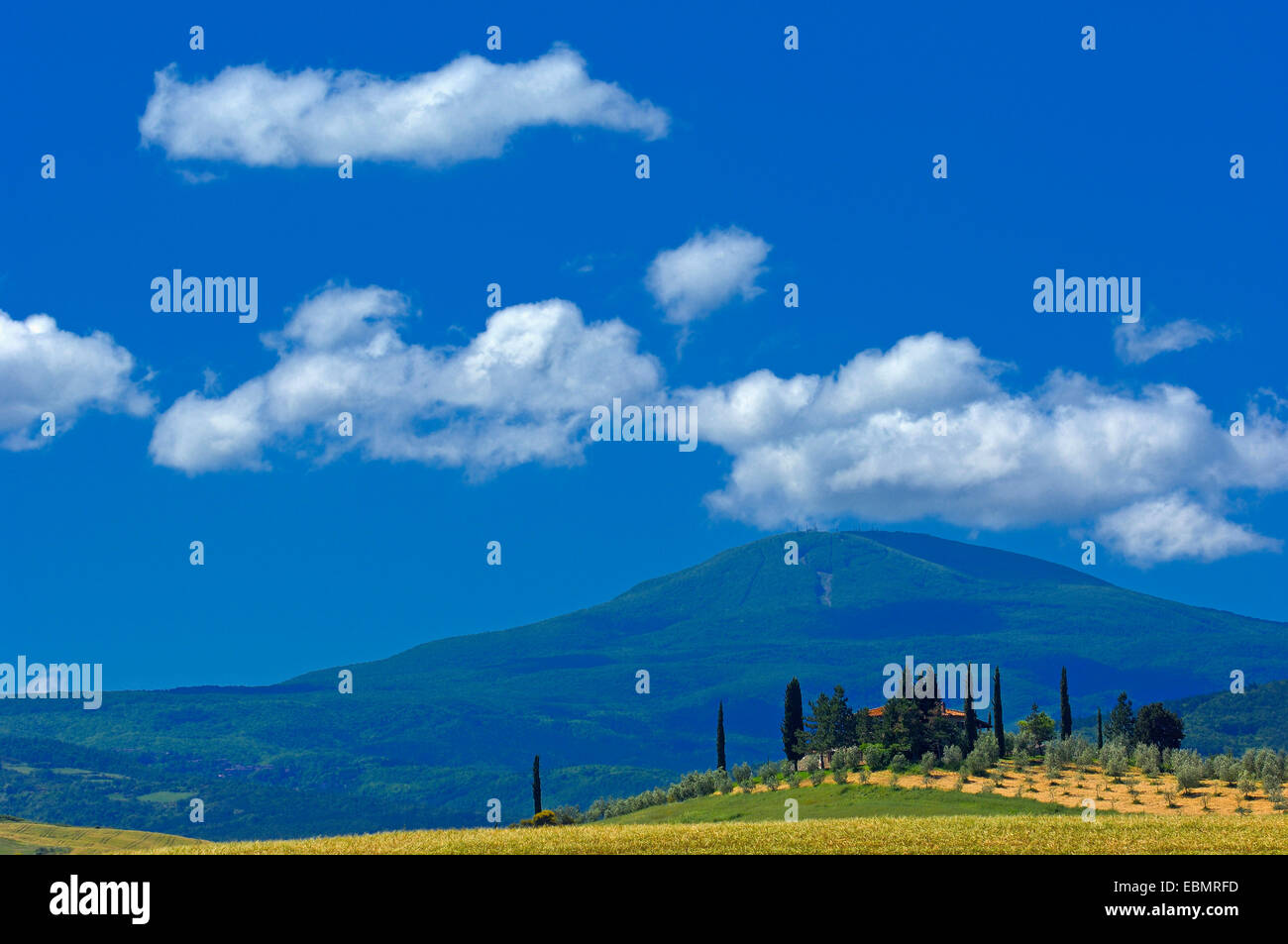 Val d´Orcia, Orcia Valley, Fields and Farmhouse, Tuscany Landscape ...