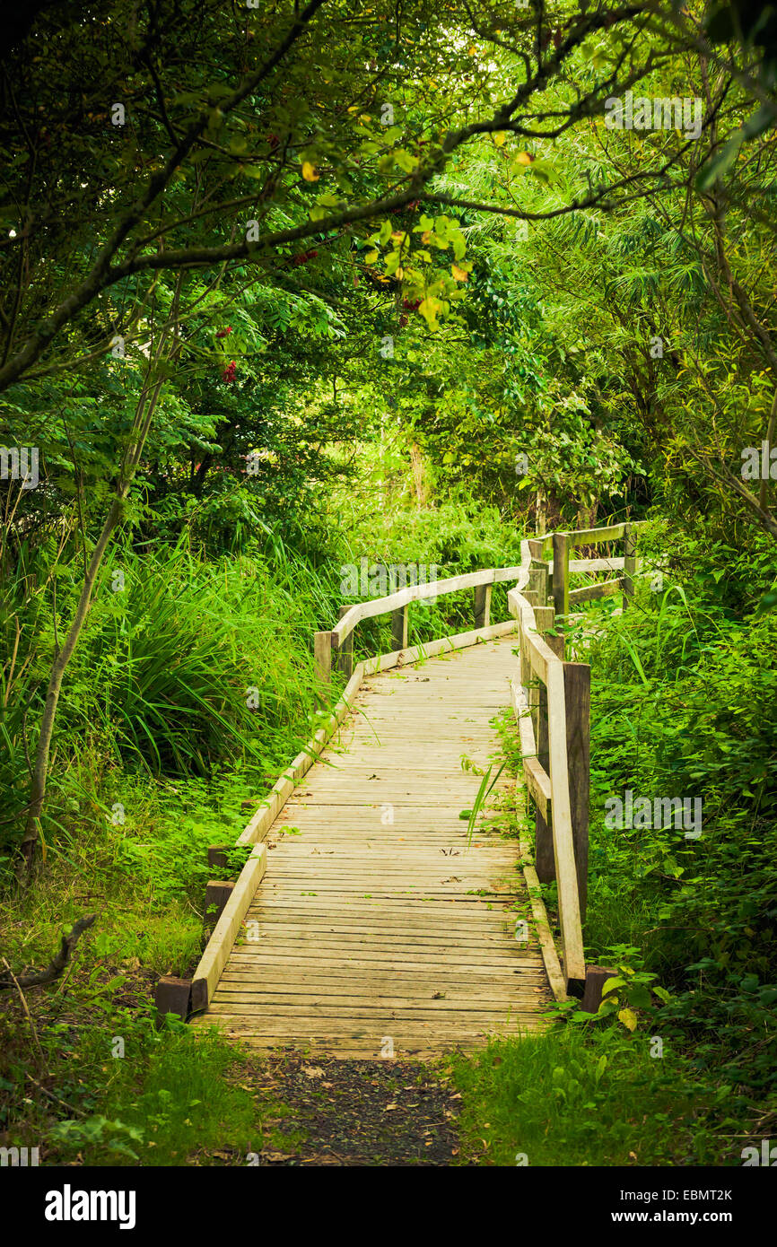 Wet wooden footpath in hi-res stock photography and images - Alamy