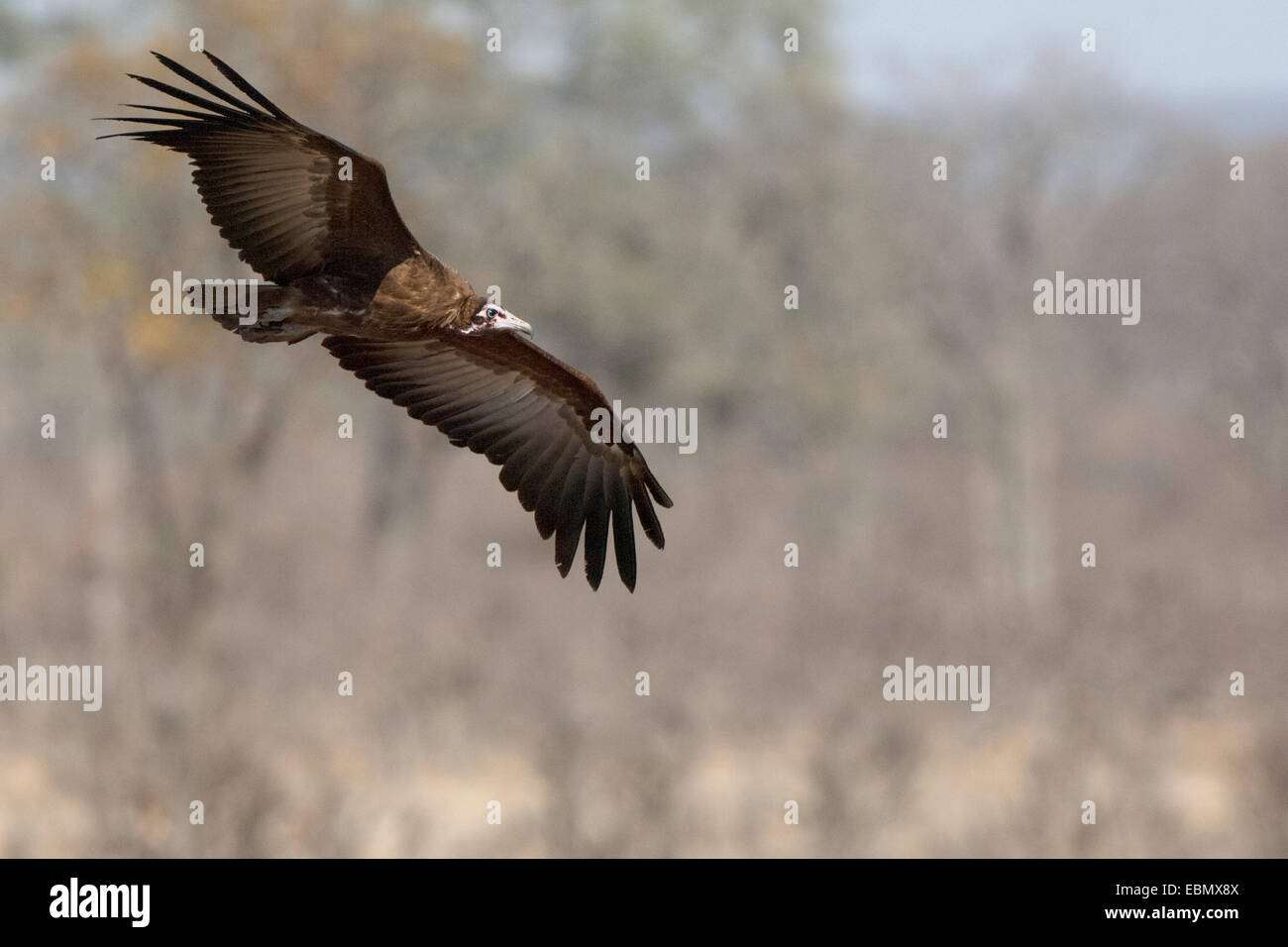 Circling movements hi-res stock photography and images - Alamy
