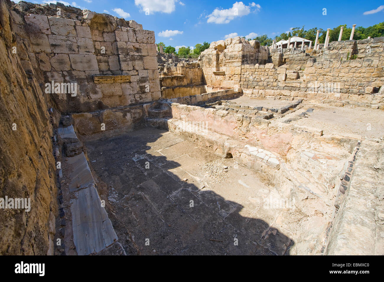 Ruins of the roman period in Beit She'An in Galilee in Israel, this was ...