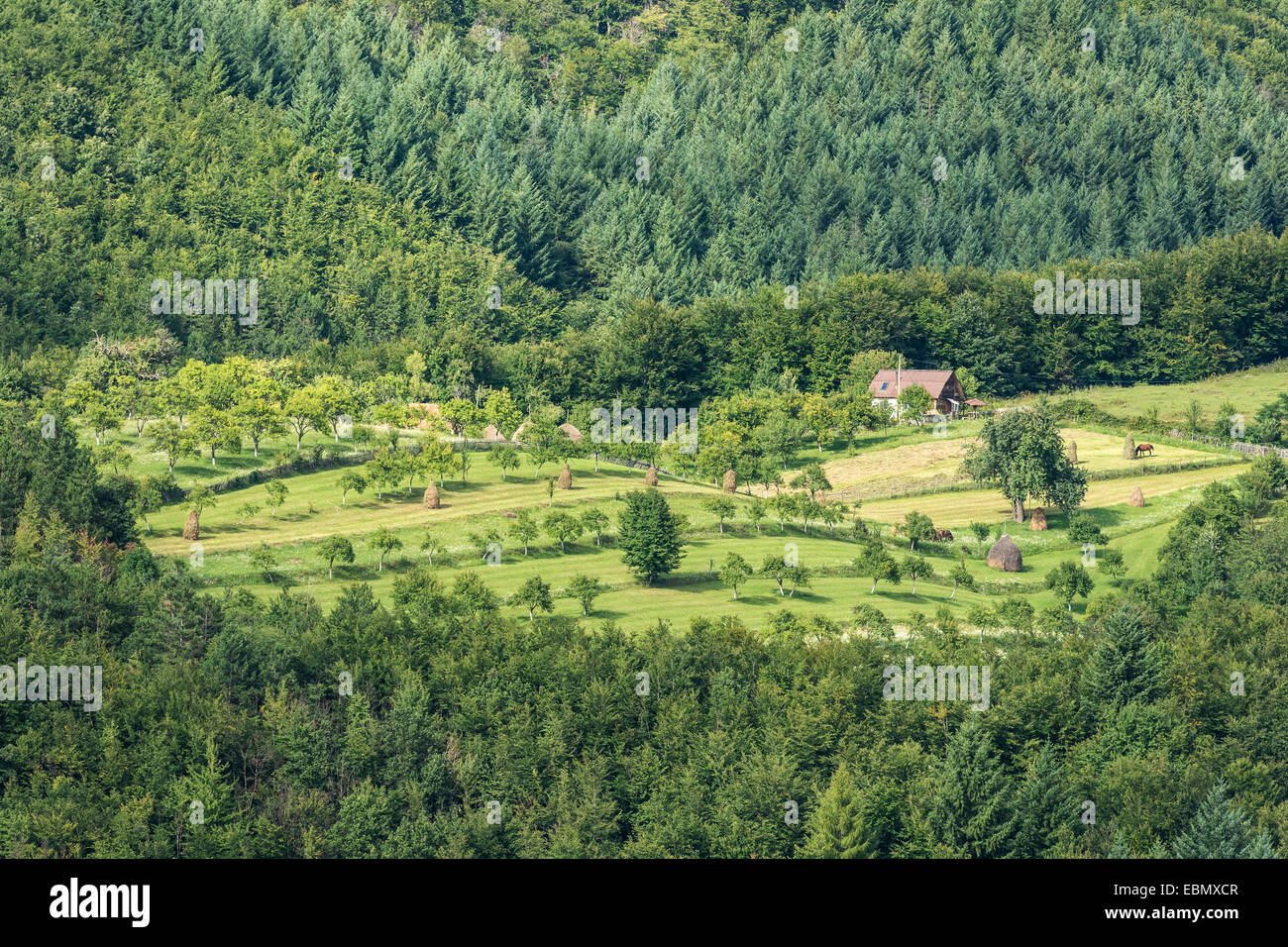 Farm land ground hi-res stock photography and images - Alamy