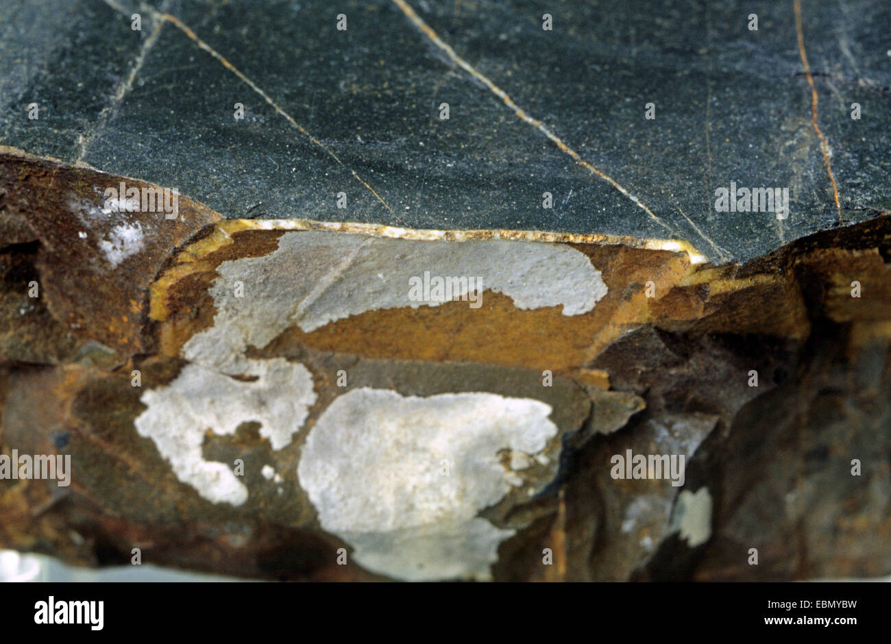 Chert stone hi-res stock photography and images - Alamy