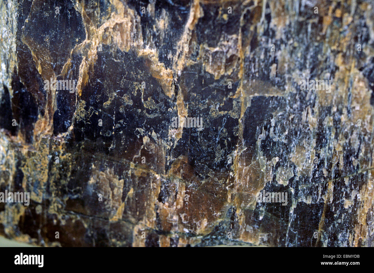 Enstatite mineral hi-res stock photography and images - Alamy