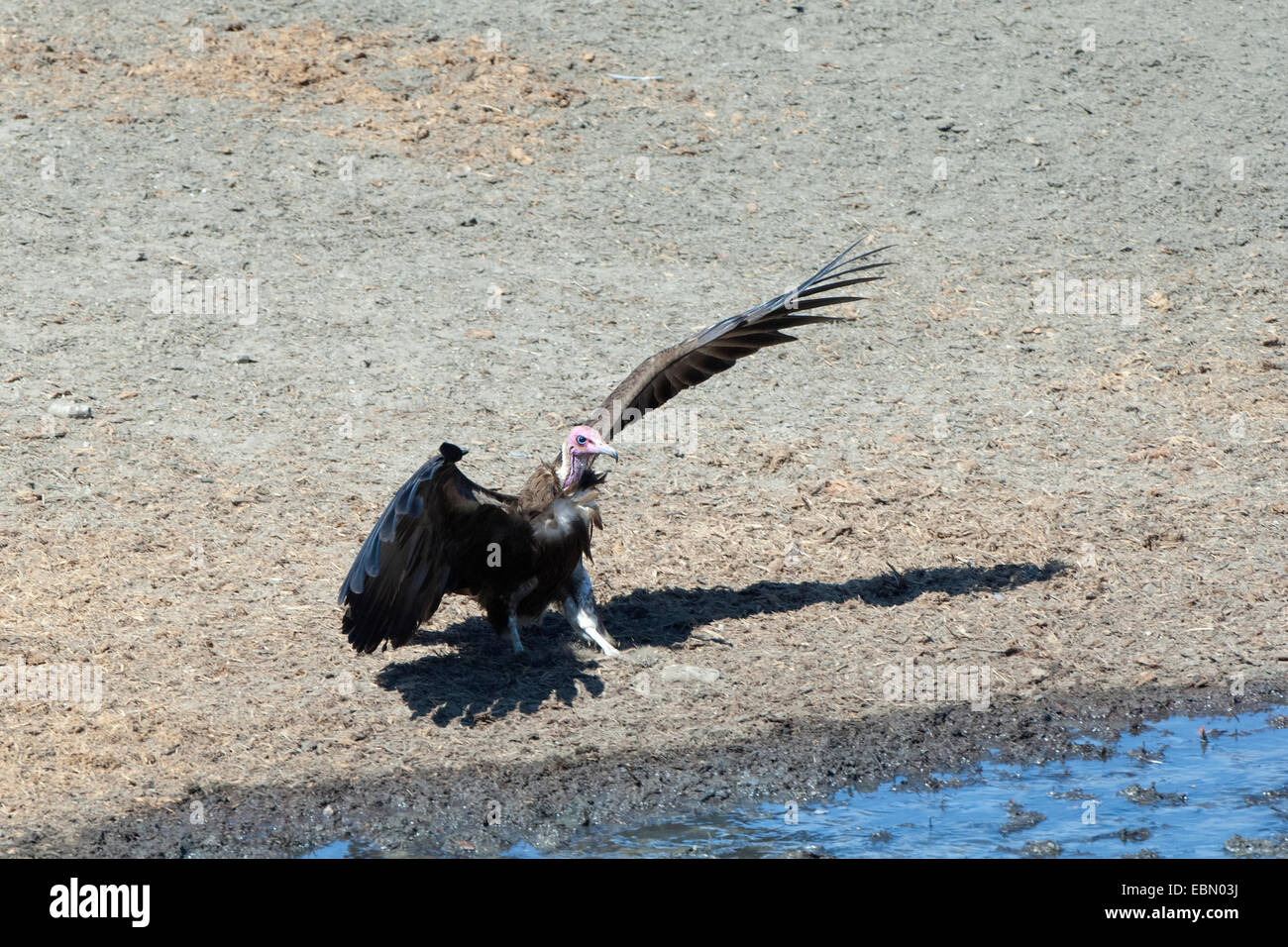Circling movements hi-res stock photography and images - Alamy