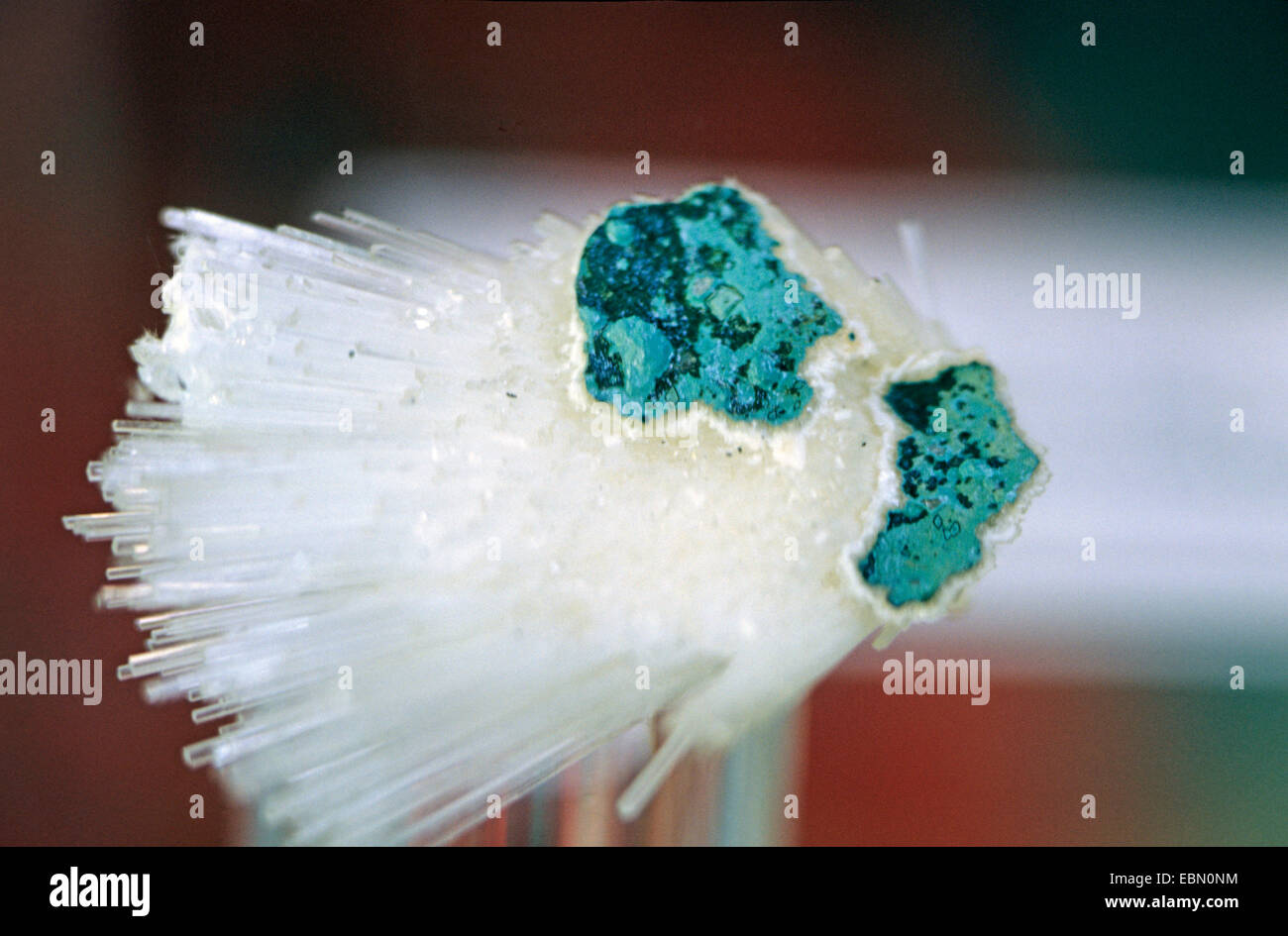 Natrolite mineral hi-res stock photography and images - Alamy