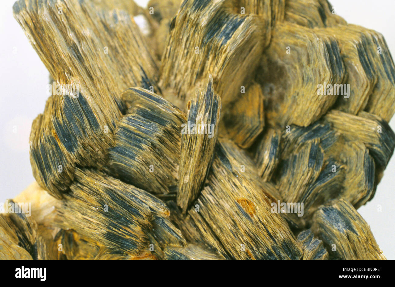 Muscovite hi-res stock photography and images - Alamy