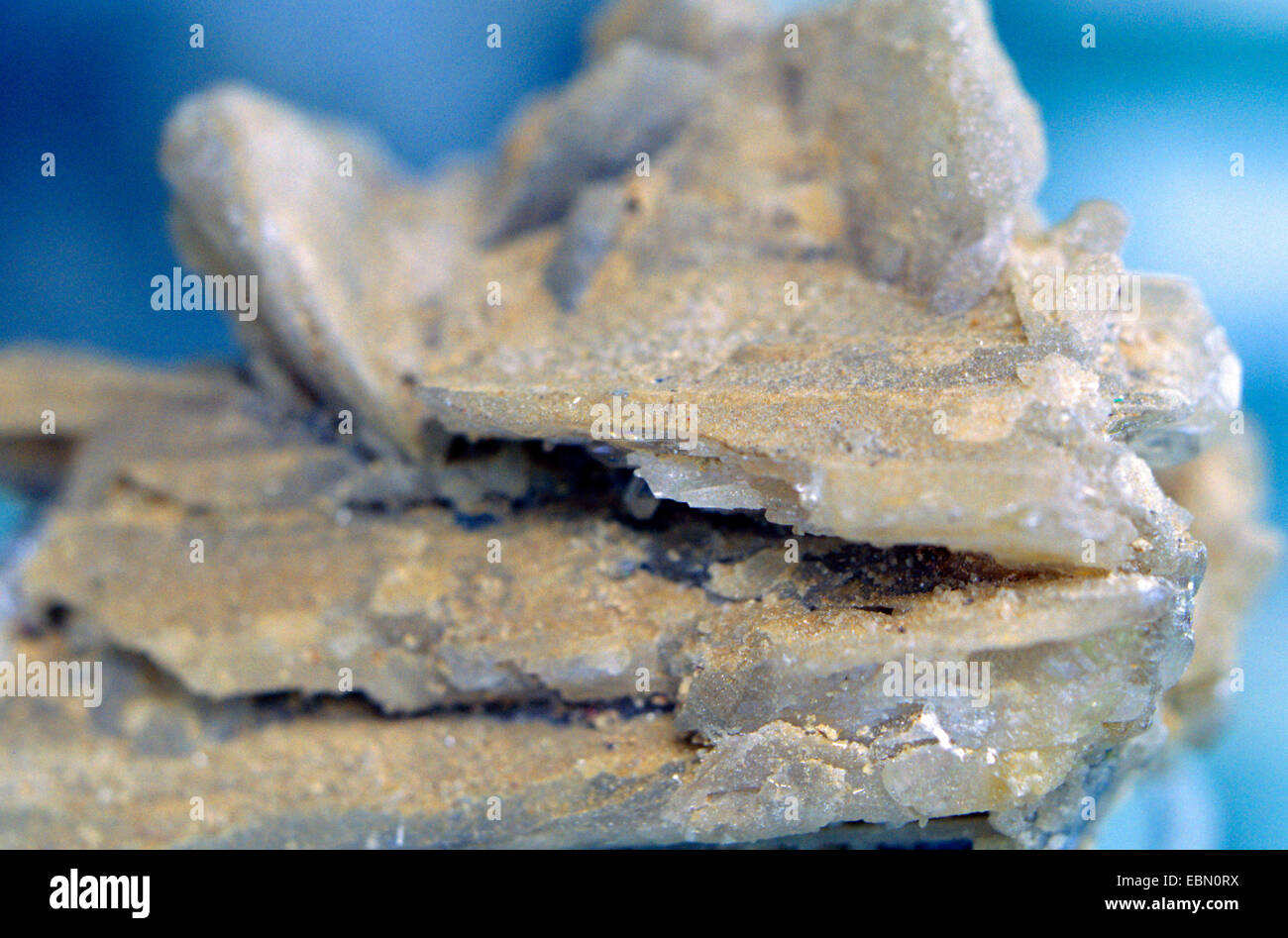 Anglesite lead sulfate hi-res stock photography and images - Alamy