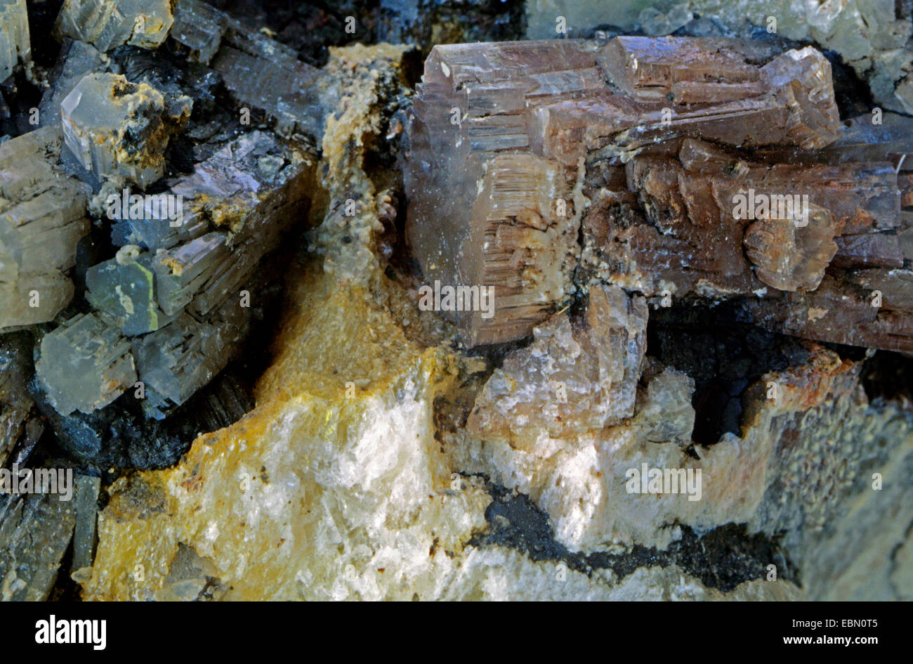 Aragonite High Resolution Stock Photography and Images - Alamy