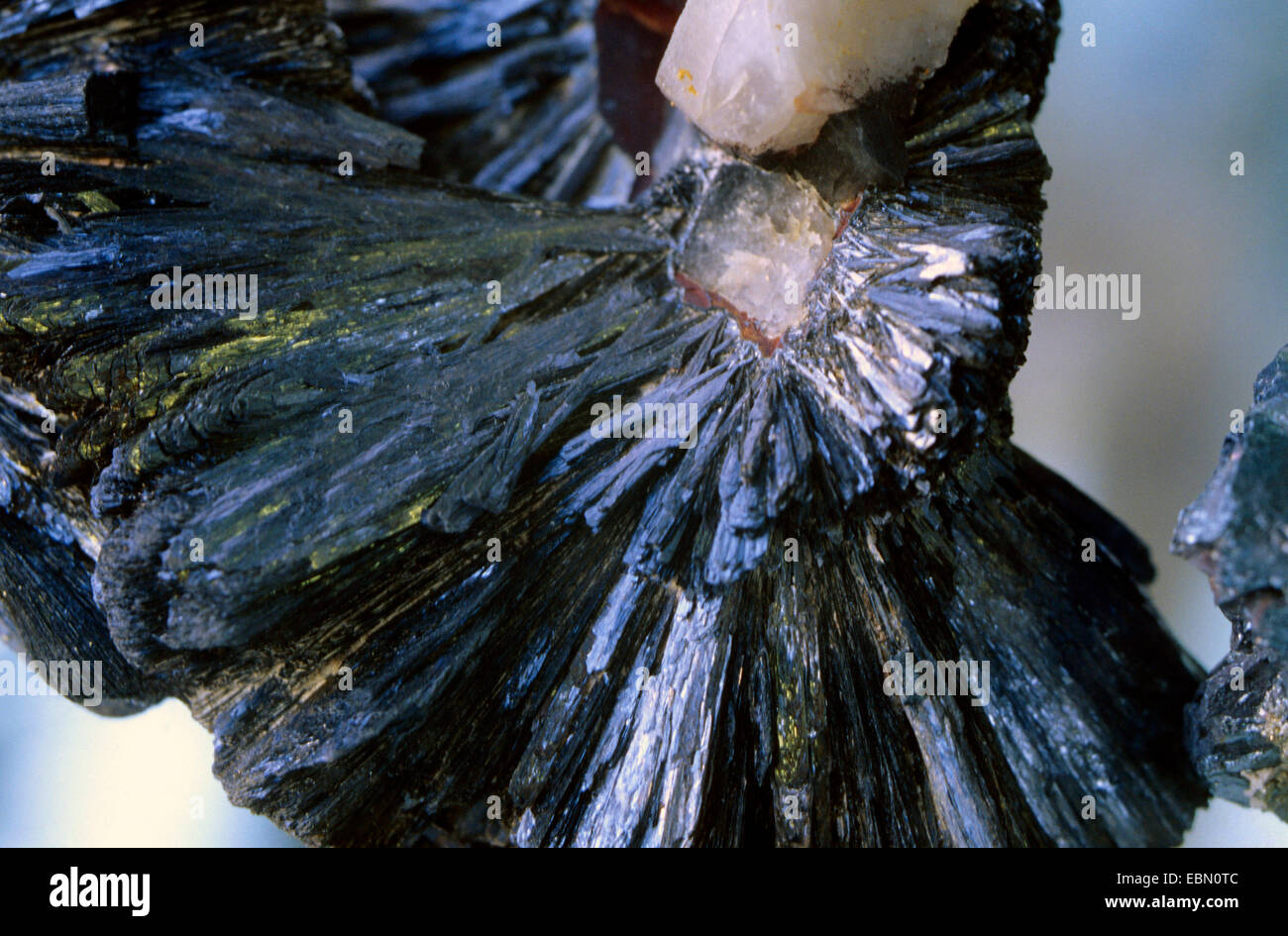 Goethite hi-res stock photography and images - Alamy