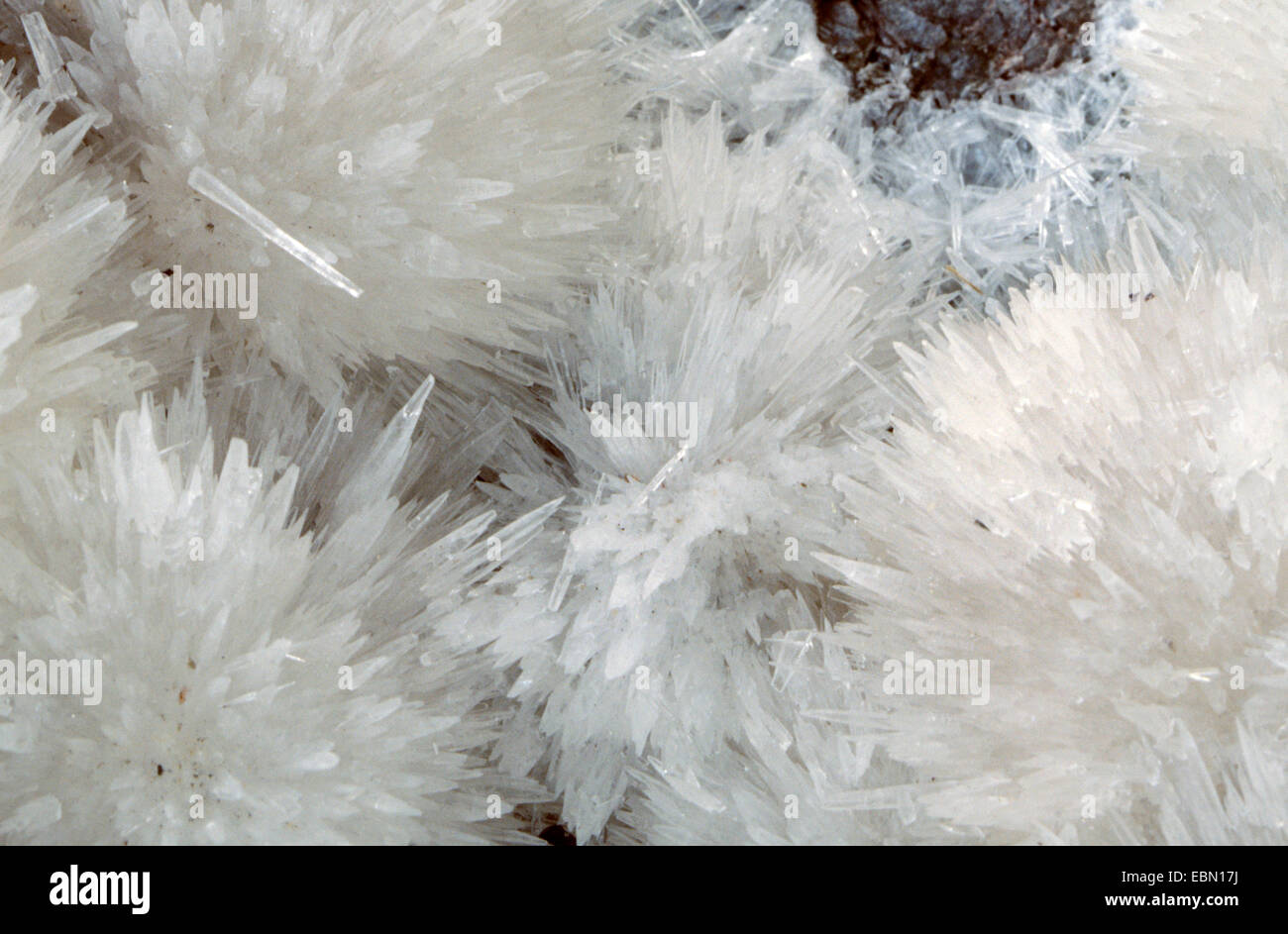 Aragonite crystal hi-res stock photography and images - Alamy