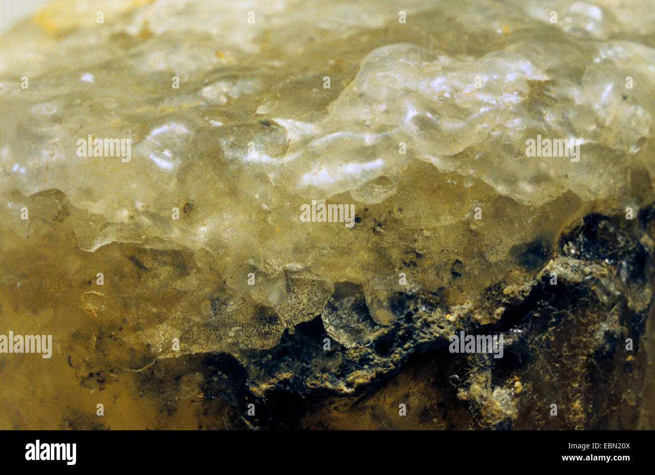 Lower sodium hi-res stock photography and images - Alamy