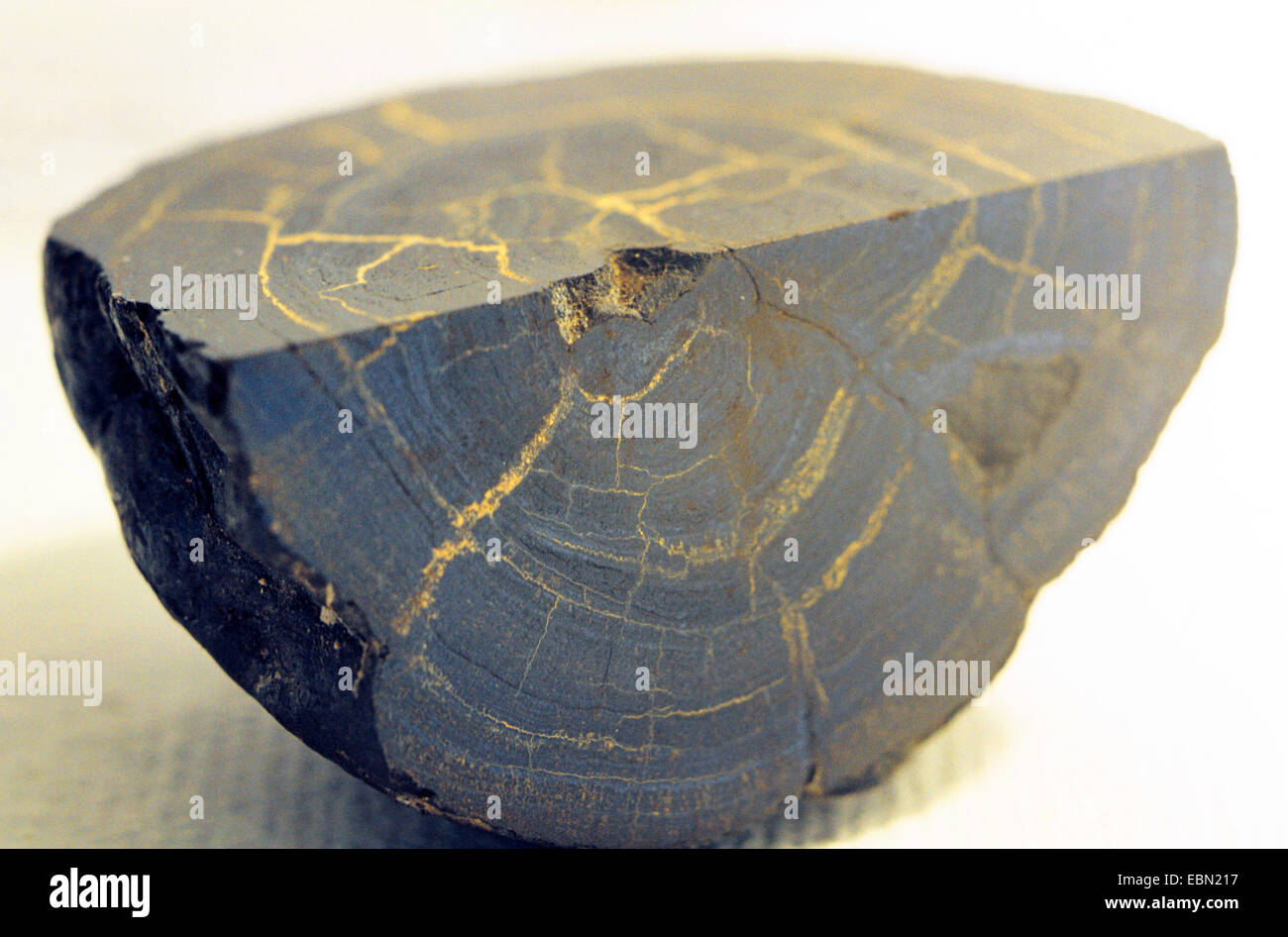 Nodule geology hi-res stock photography and images - Alamy