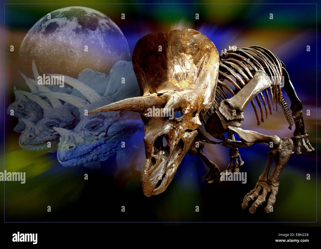 Model of the dinosaur triceratops hi-res stock photography and images ...