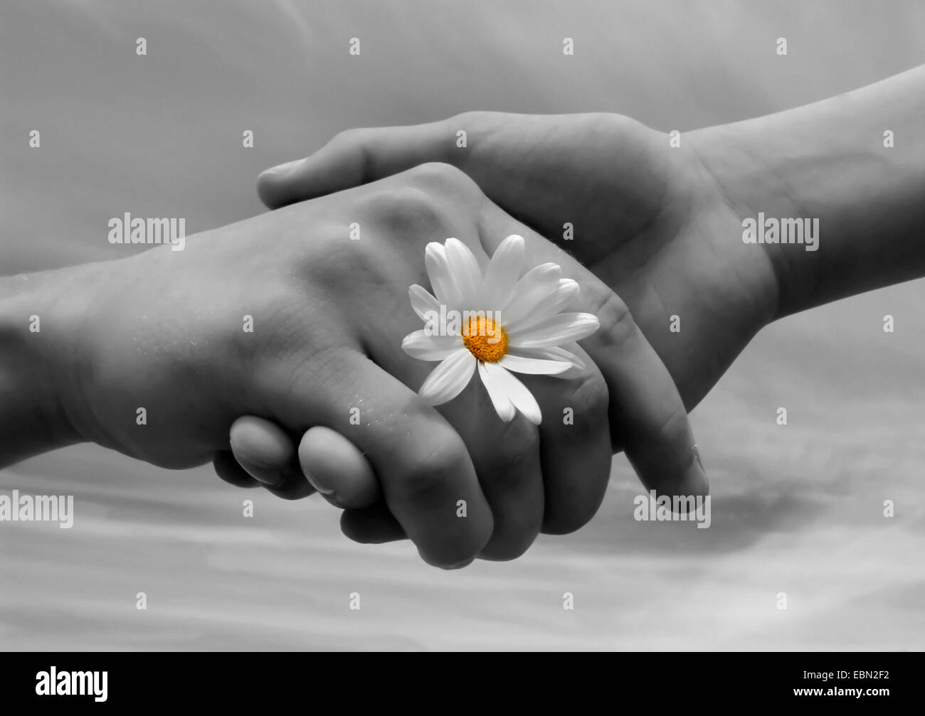 Handshake of flowers hi-res stock photography and images - Alamy