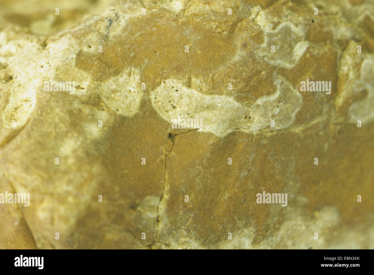Chert stone hi-res stock photography and images - Alamy