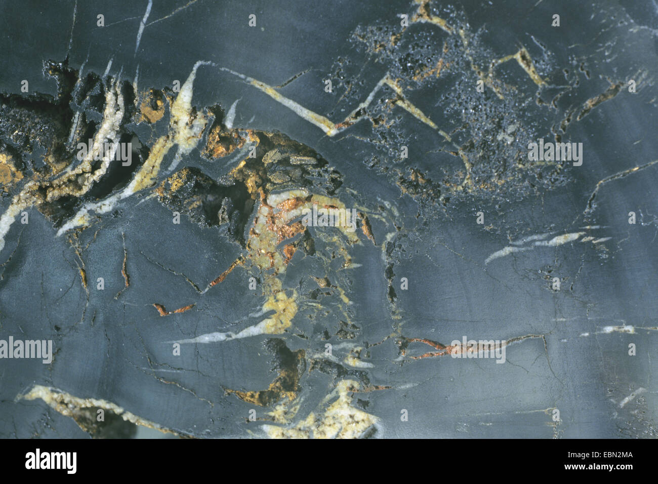Triassic era hi-res stock photography and images - Alamy