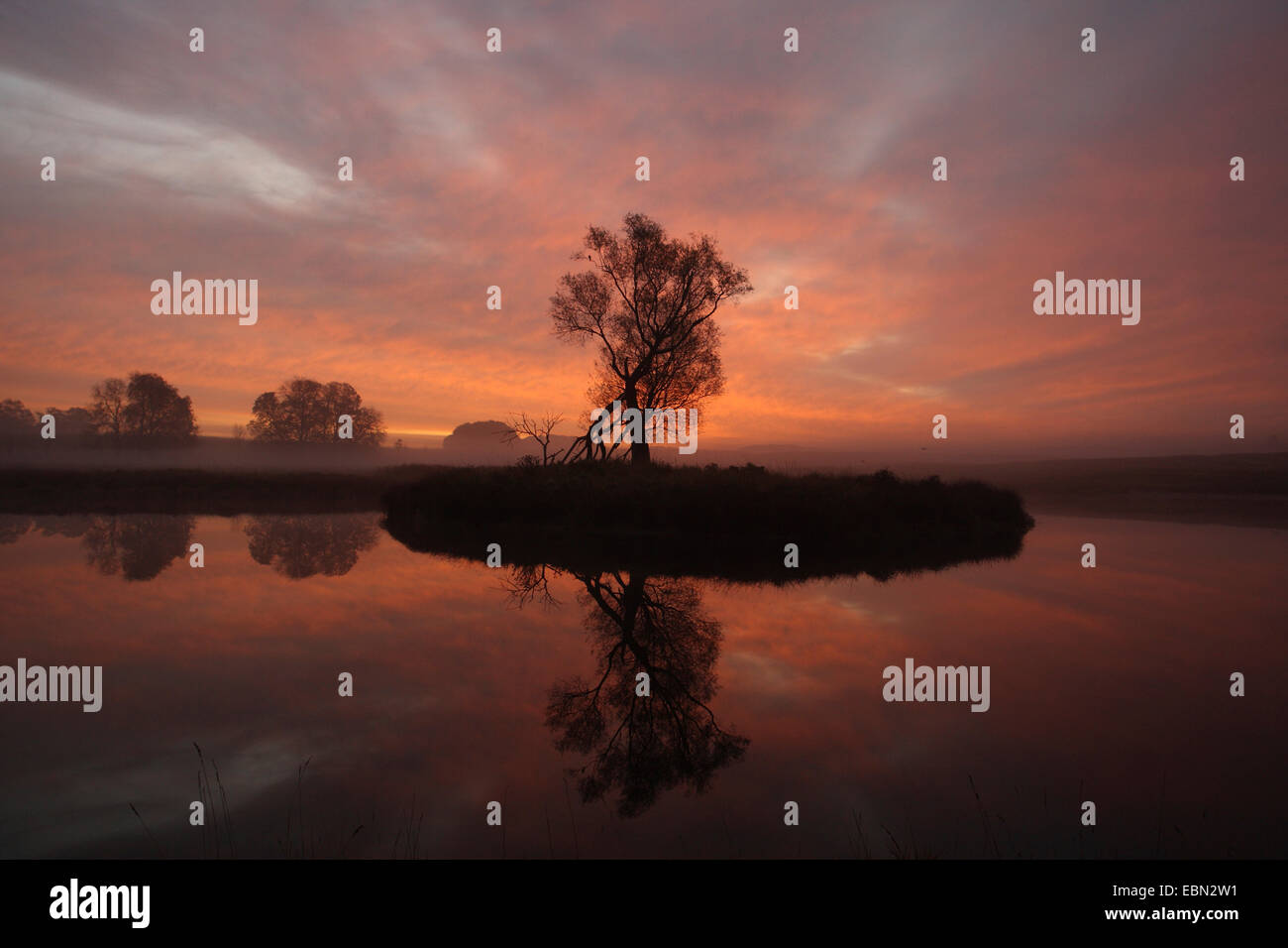 Dyrehaven High Resolution Stock Photography and Images - Alamy