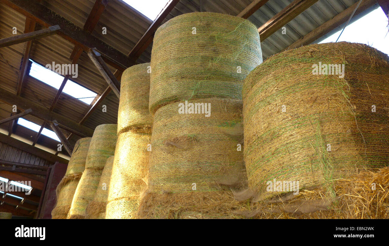 Round Bales High Resolution Stock Photography and Images - Alamy