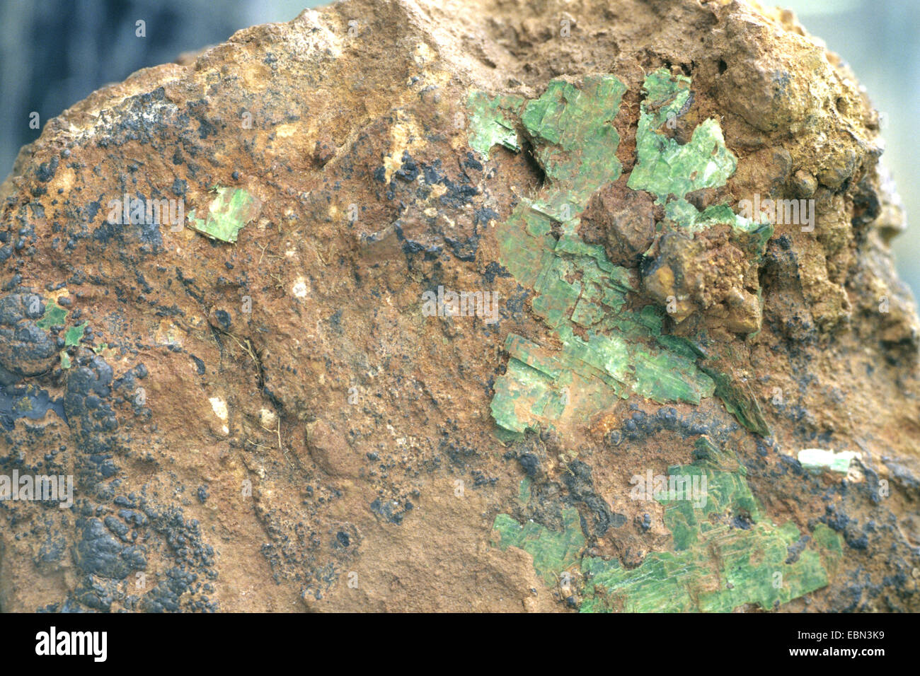 Autunite crystals hi-res stock photography and images - Alamy