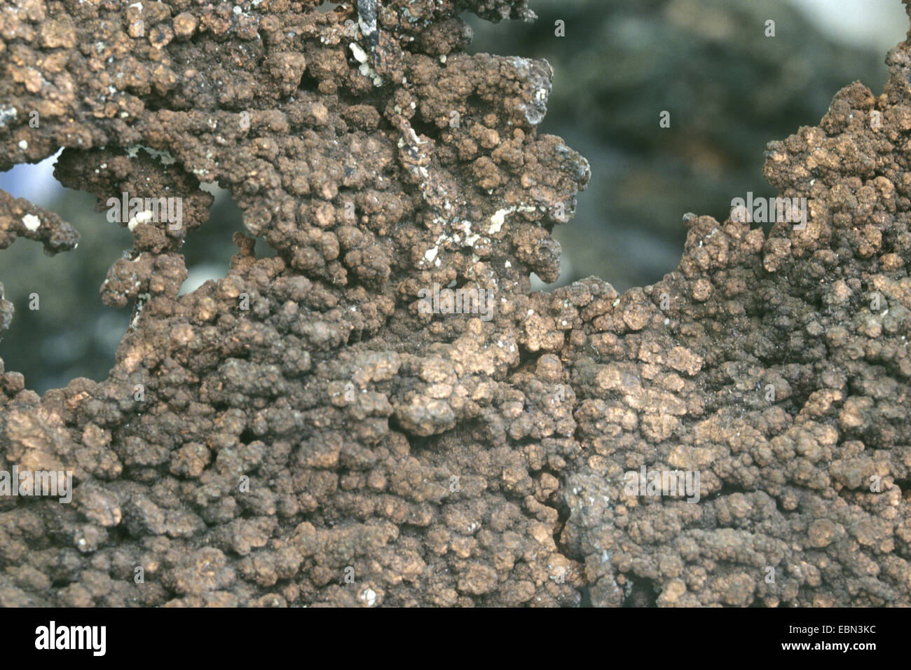 Michigan copper hi-res stock photography and images - Alamy