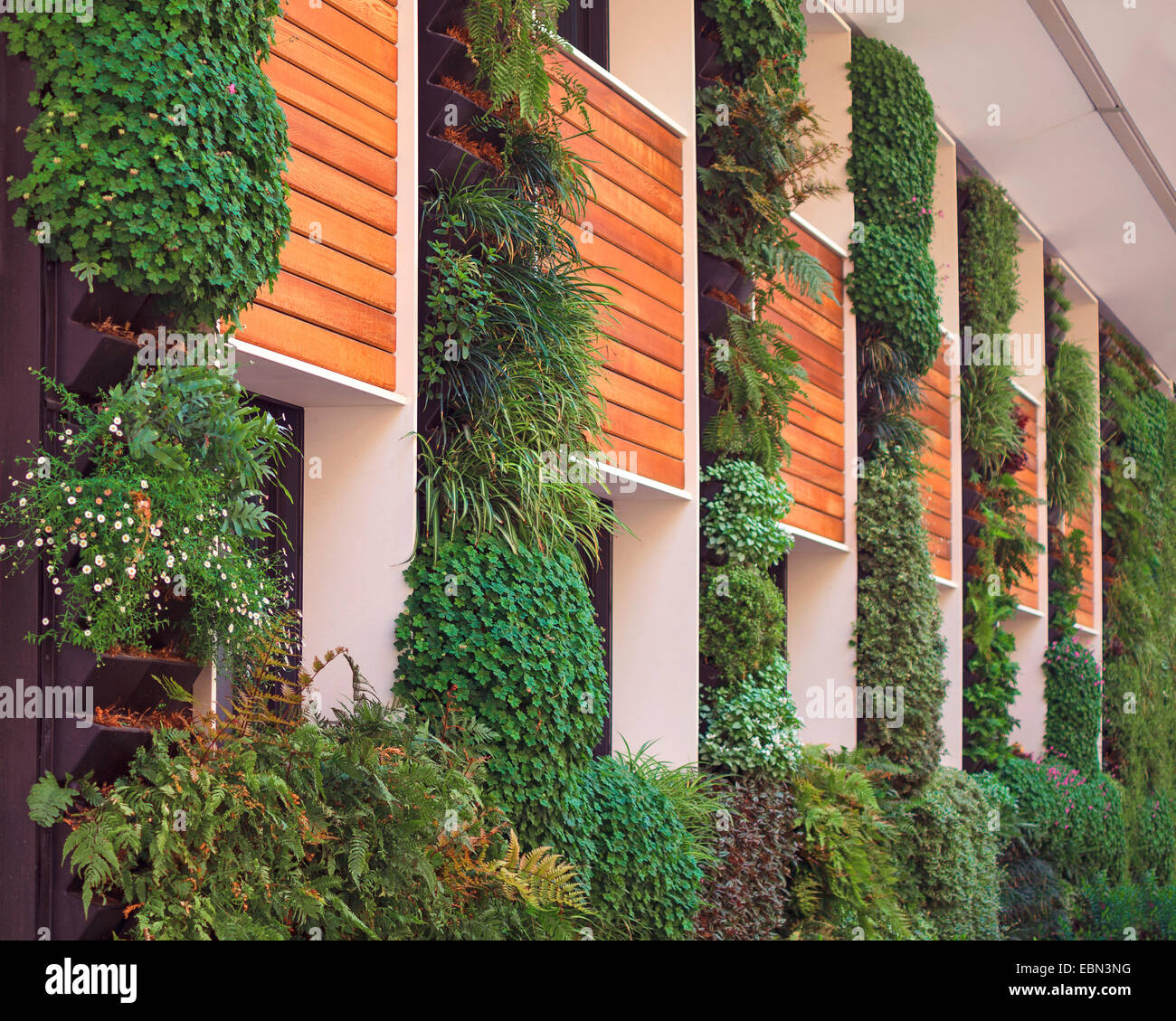 Plant wall eco hi-res stock photography and images - Alamy