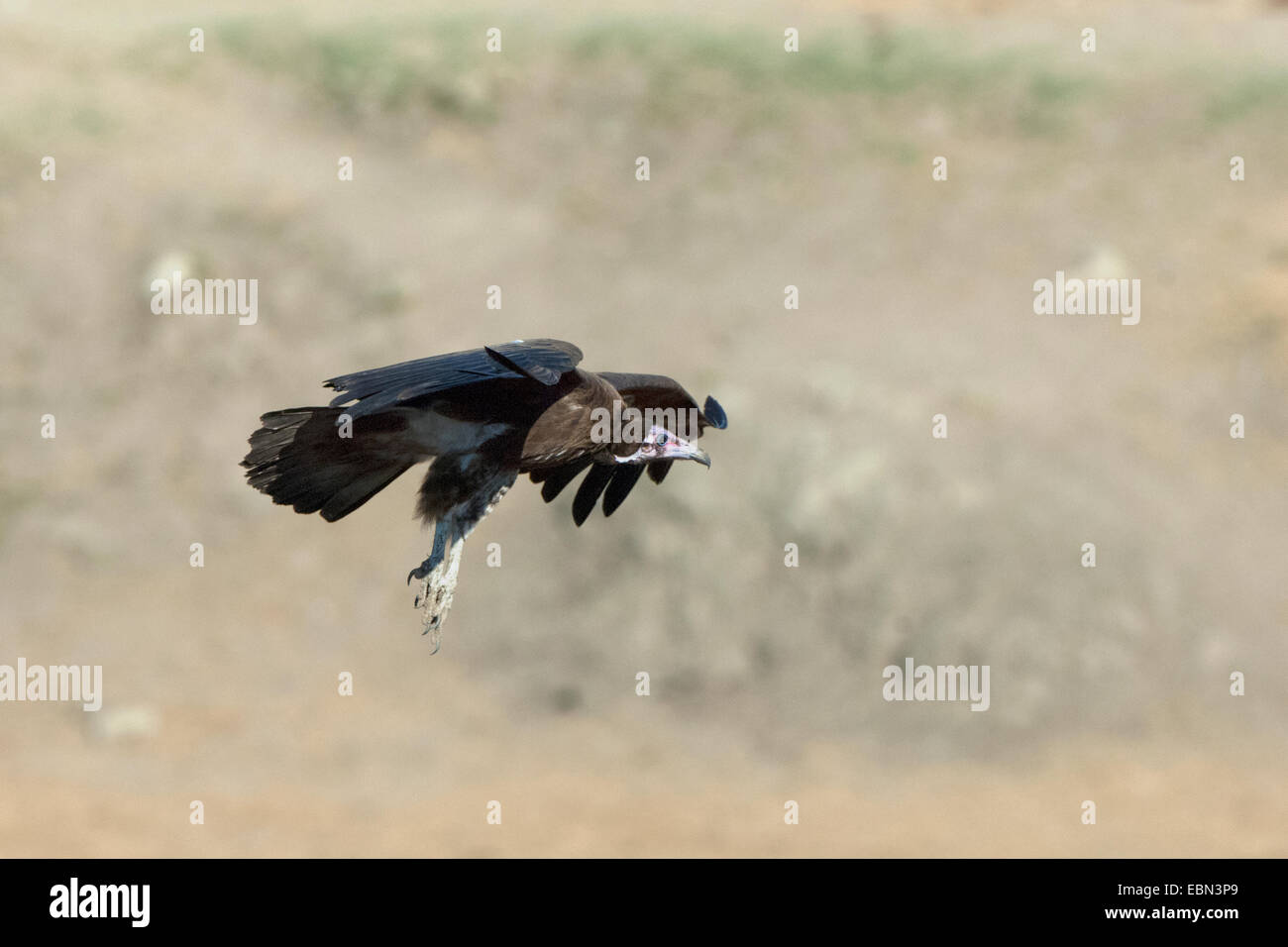 Circling movements hi-res stock photography and images - Alamy