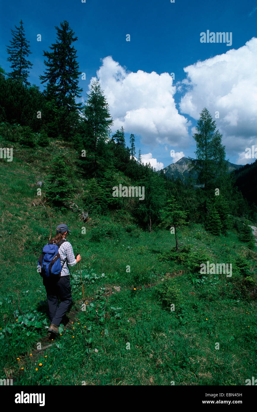 Hiking in german alps germany hi-res stock photography and images - Alamy