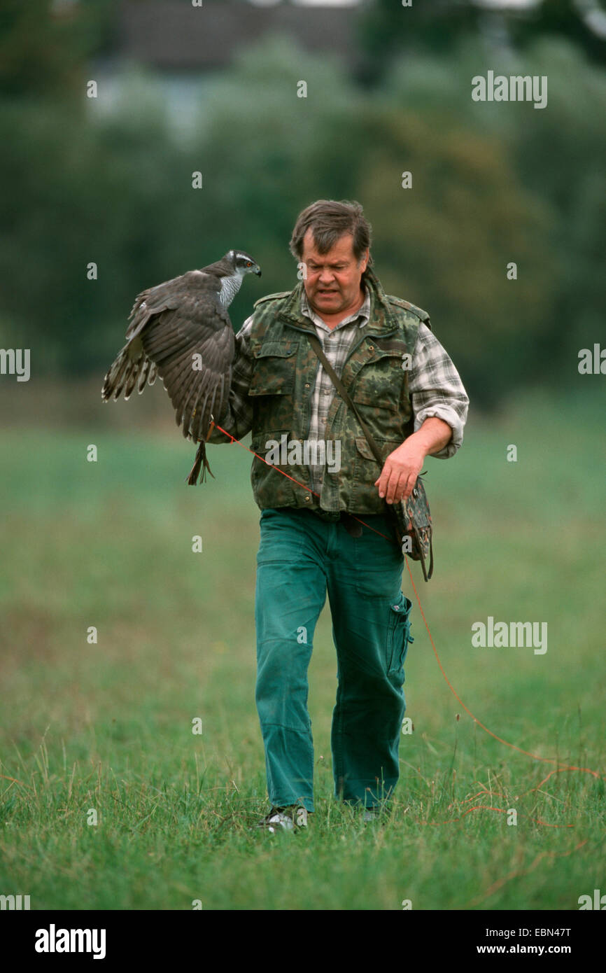 The arm of a falconer hi-res stock photography and images - Alamy