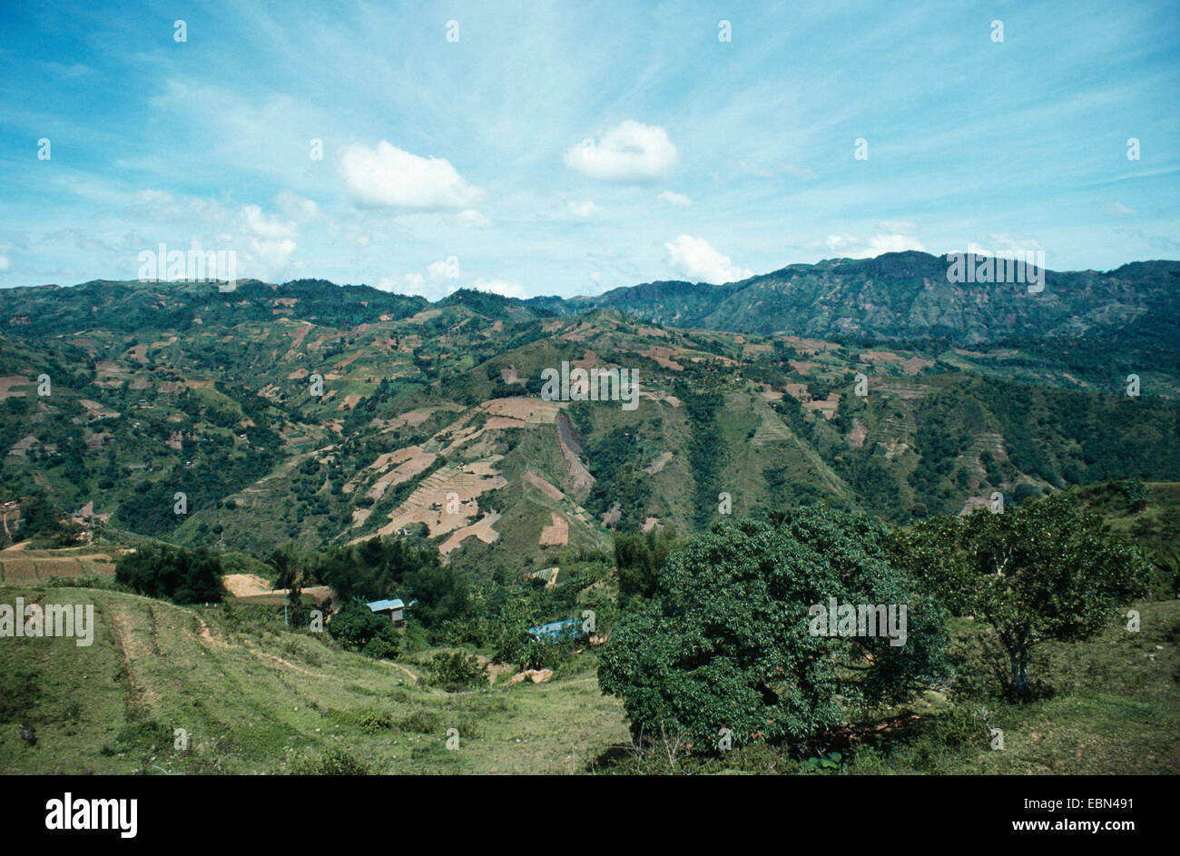 deforestation in the mountains, Philippines, Cebu Stock Photo - Alamy