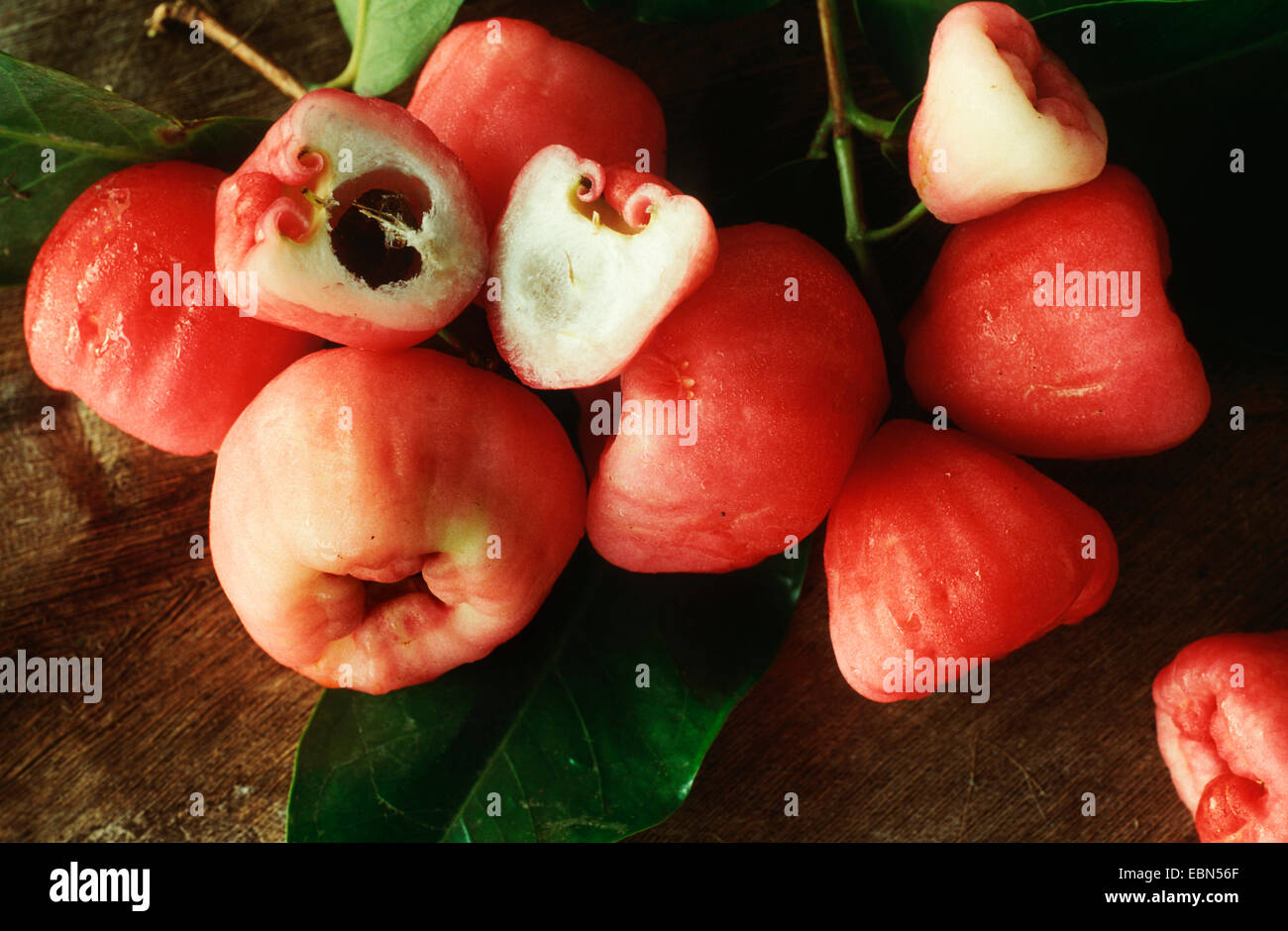 Malay Apple, Mountain Apple (Syzygium malaccense), fruits Stock Photo ...