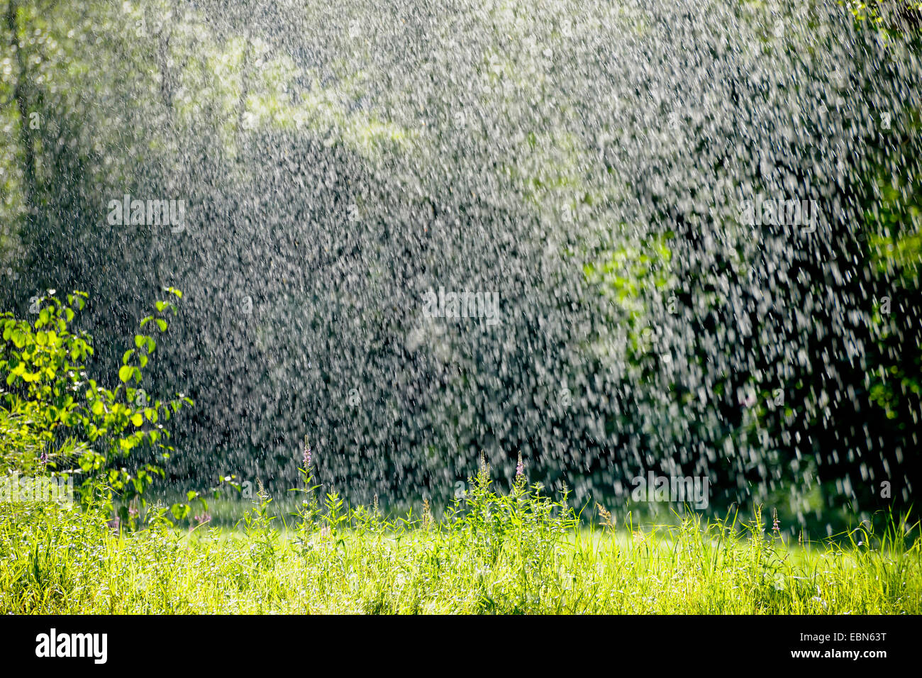 Summer precipitation hi-res stock photography and images - Alamy