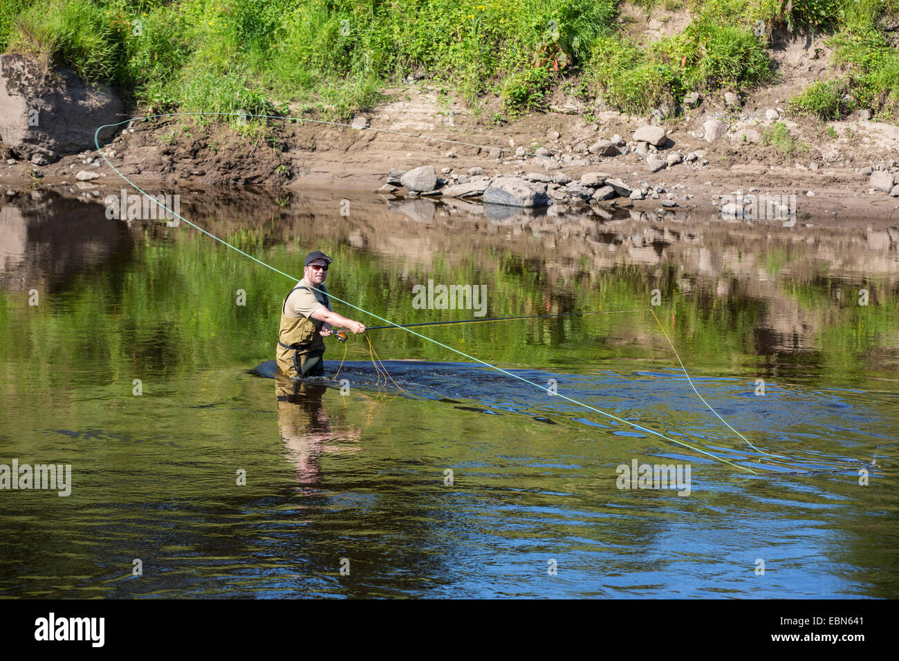Atlantic salmon, ouananiche, lake Atlantic salmon, landlocked salmon ...