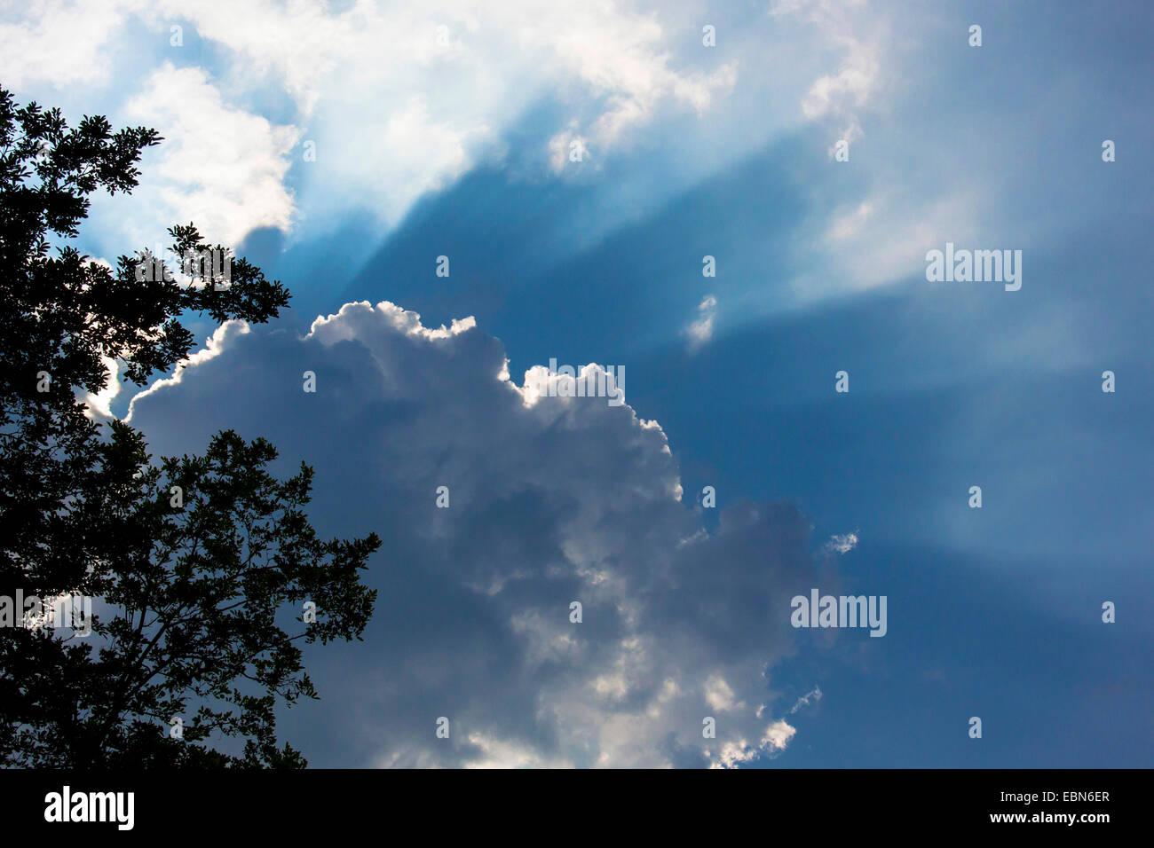 Crepuscular beams hi-res stock photography and images - Alamy