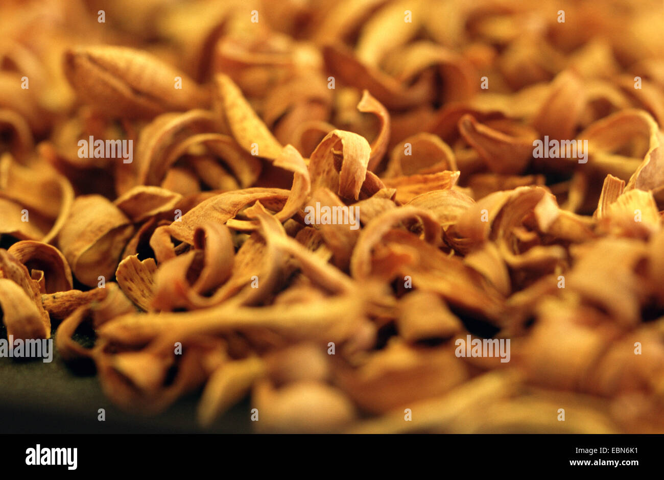 Citrus tree blossom hi-res stock photography and images - Alamy