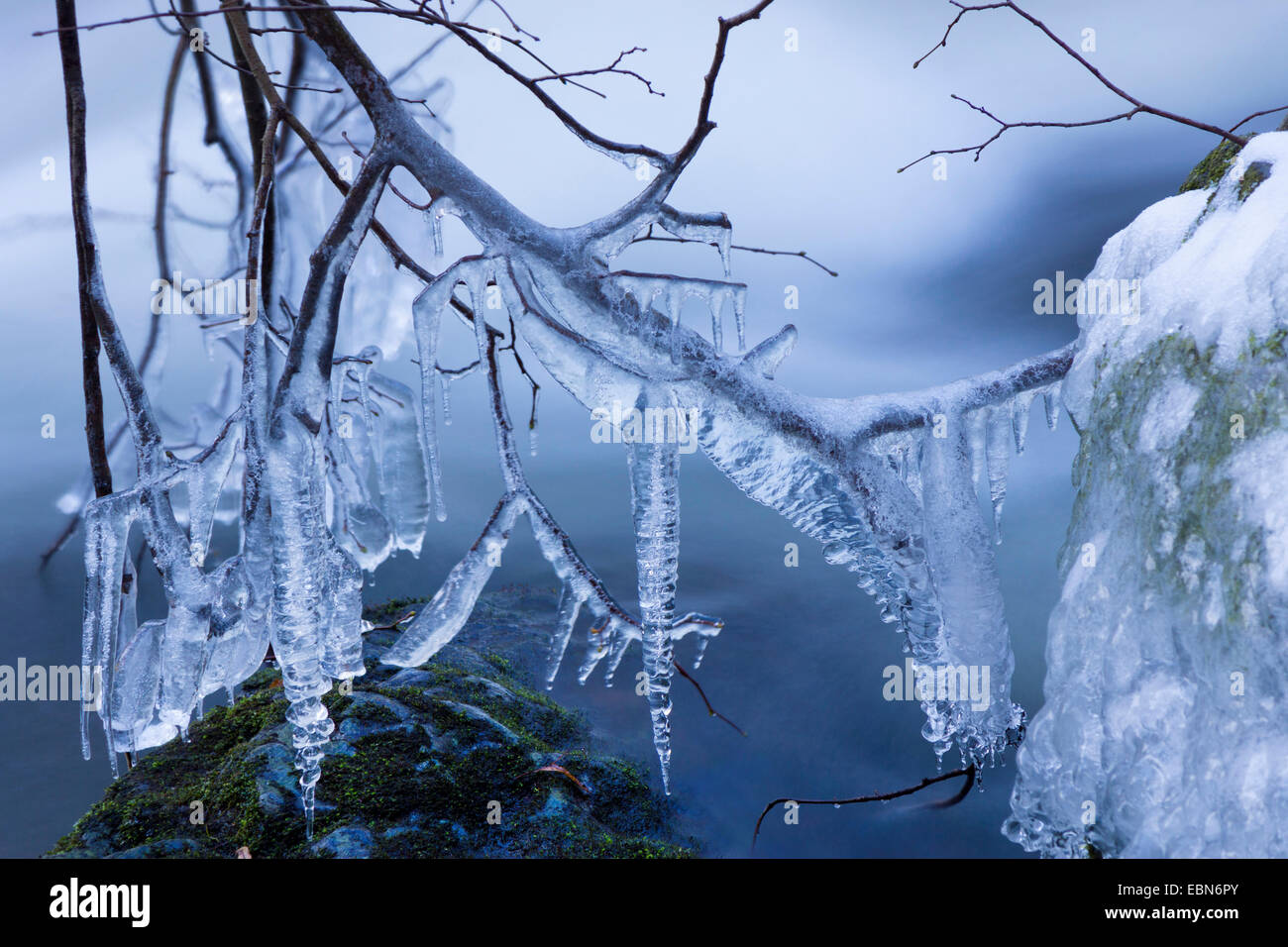 ice at hanging down brunch, Germany, Saxony, Jocketa Stock Photo - Alamy