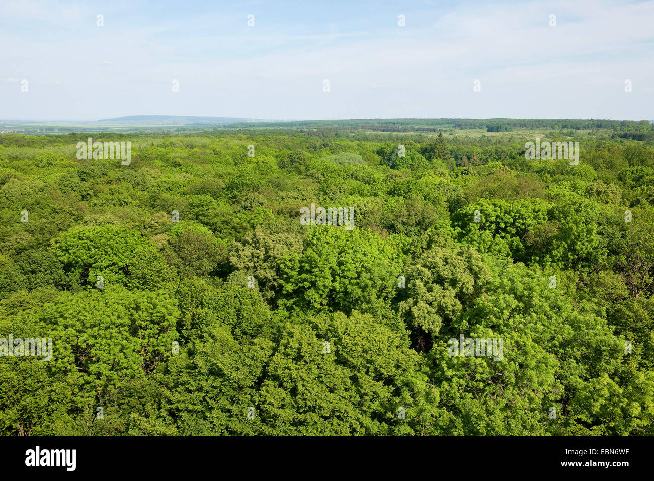 Canopy walkway nature trail hi-res stock photography and images - Alamy