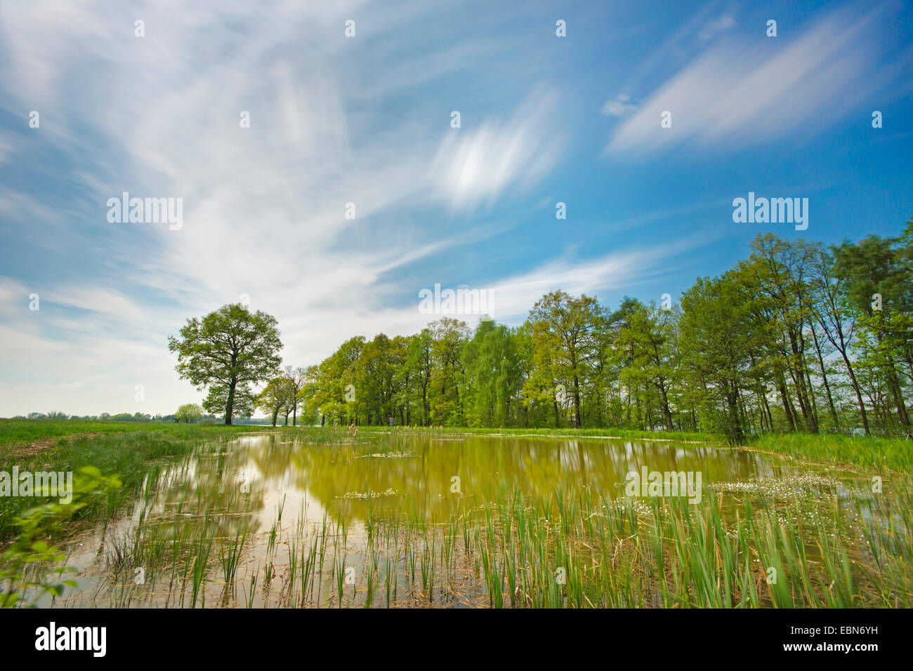 Horizontal spring scenic scenery hi-res stock photography and images ...