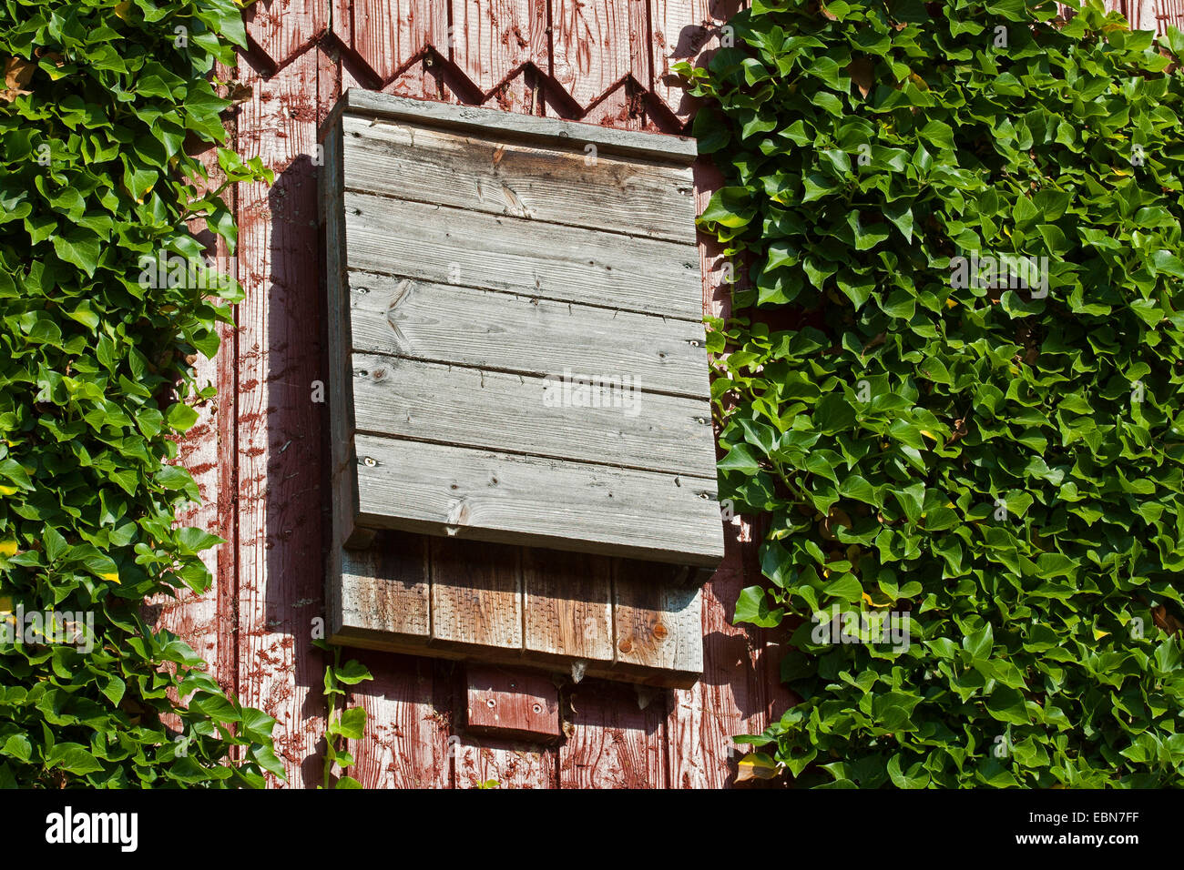 nesting box for bats at wooden cladding, Germany Stock Photo - Alamy