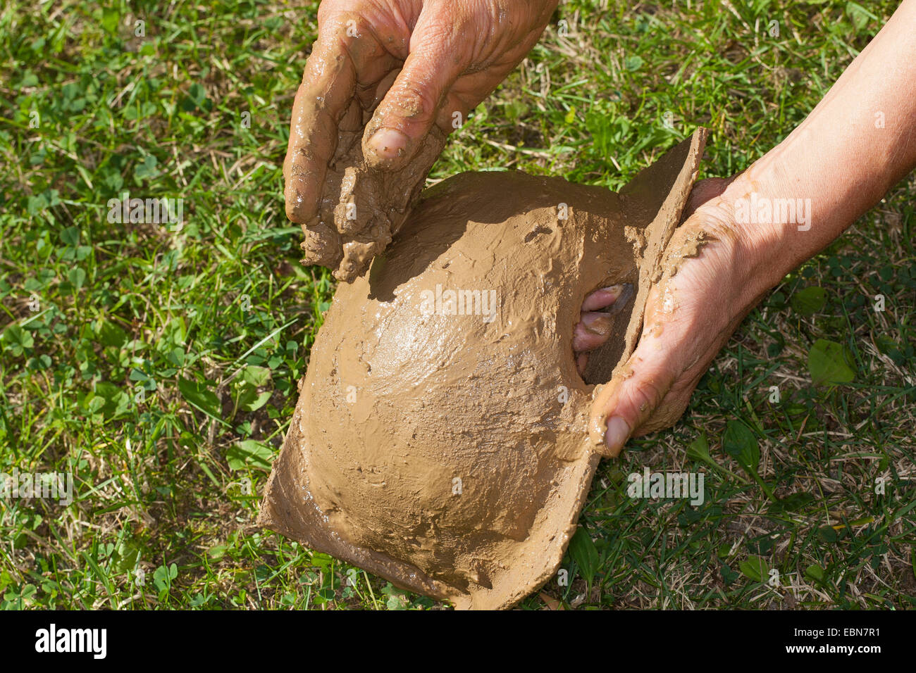common house martin (Delichon urbica), nest box vor a house martin is ...