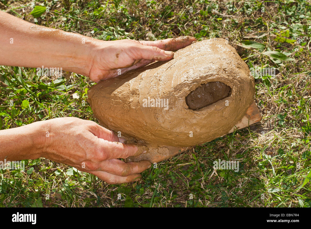 Hands holding birds nest hi-res stock photography and images - Alamy