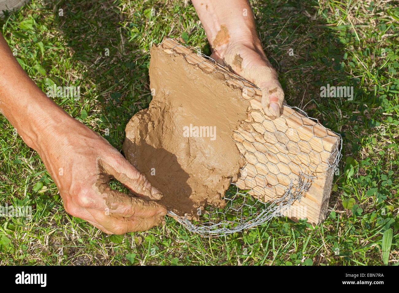 Individual house martin hi-res stock photography and images - Alamy