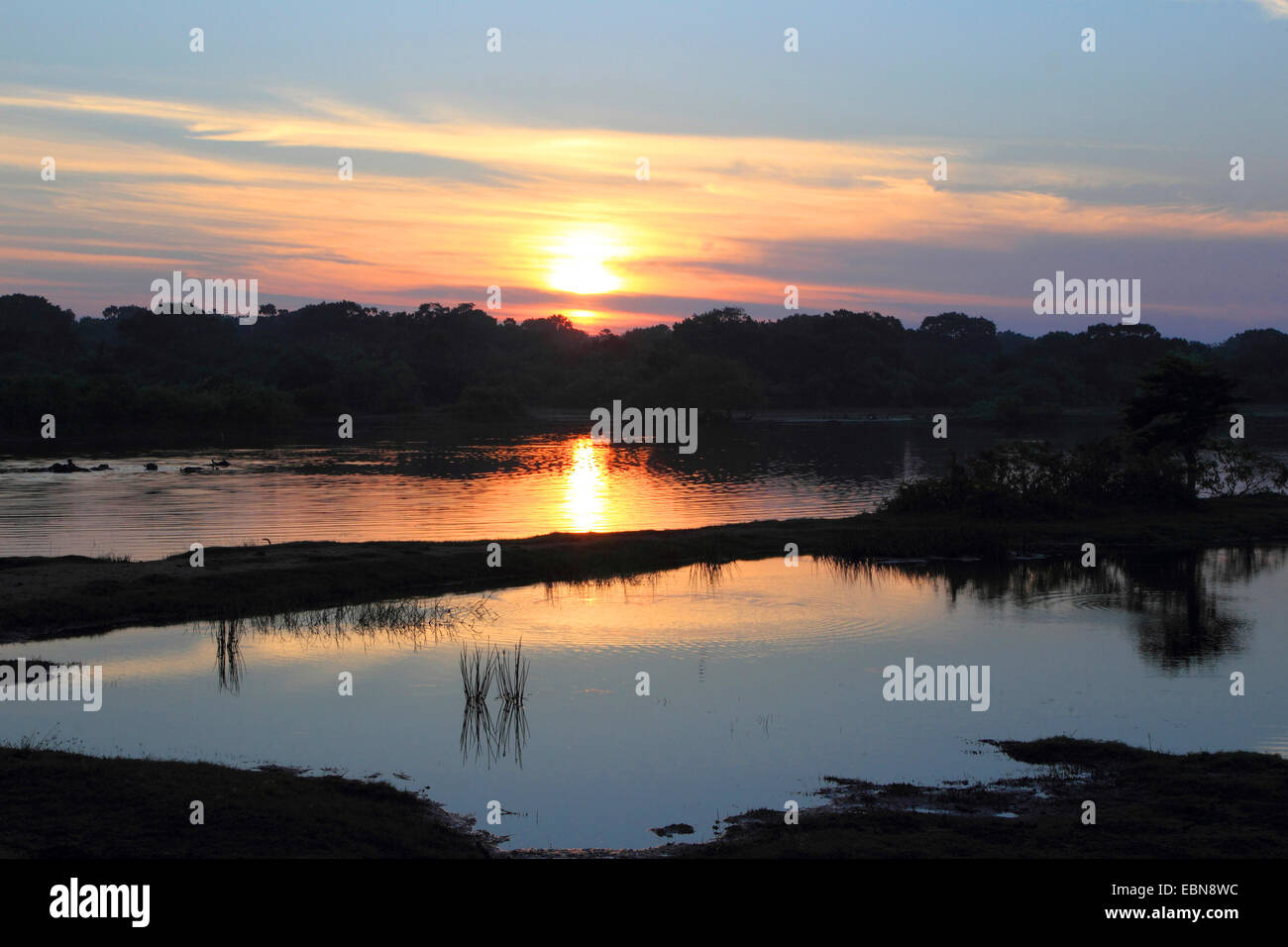 river in sunrise, Sri Lanka, Yala National Park Stock Photo - Alamy