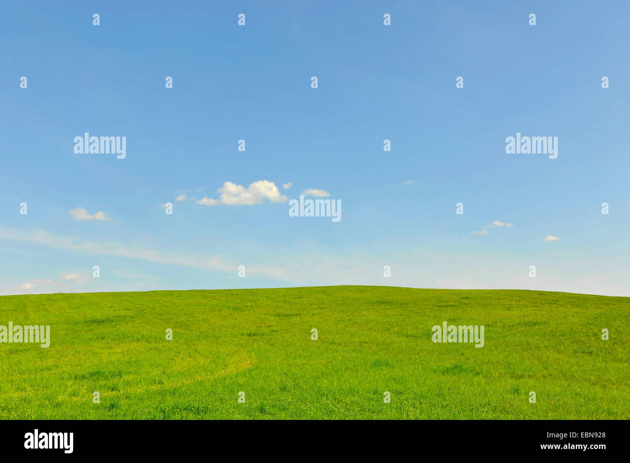 spring meadow and blue sky, Germany Stock Photo - Alamy
