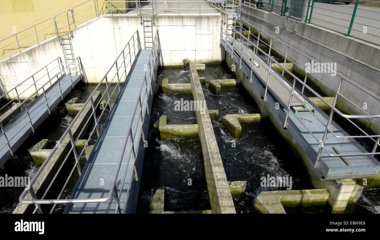 Fishways hi-res stock photography and images - Alamy