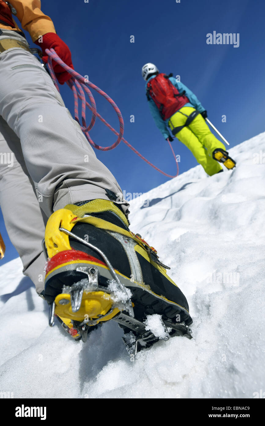 alpine guide and female wanderer as a rope team in the snow, France ...