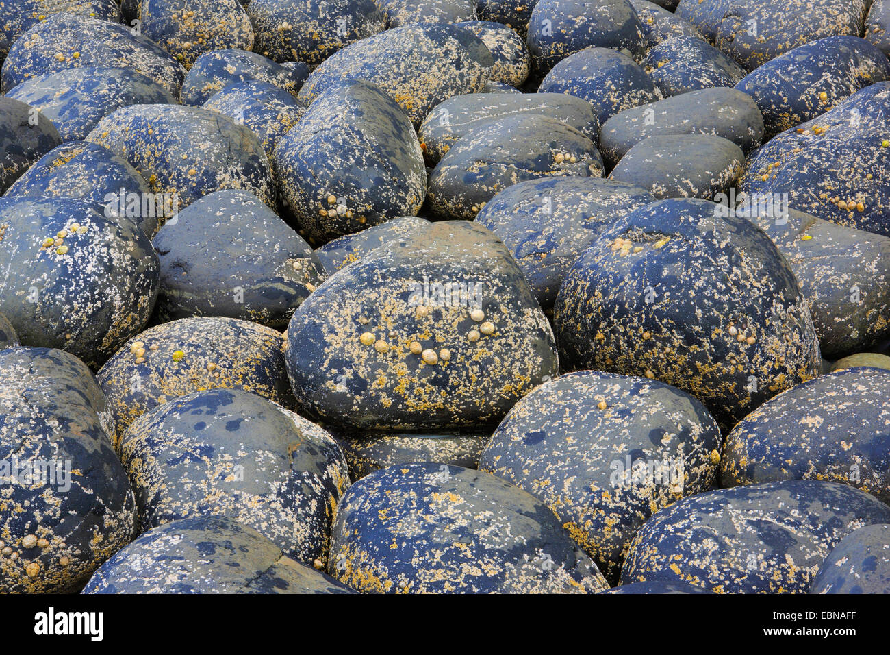 Pebble stones on beach hi-res stock photography and images - Alamy