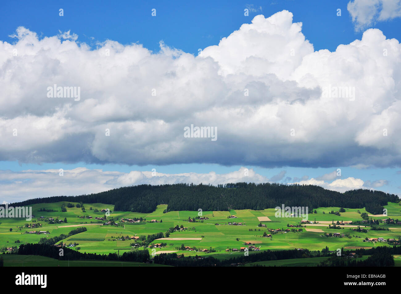 Typical swiss landscape hi-res stock photography and images - Alamy