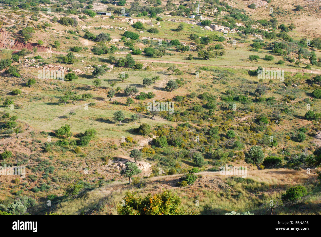 landscape on Akamas peninsula, Cyprus, Paphos, Akamas, Arodes Stock ...