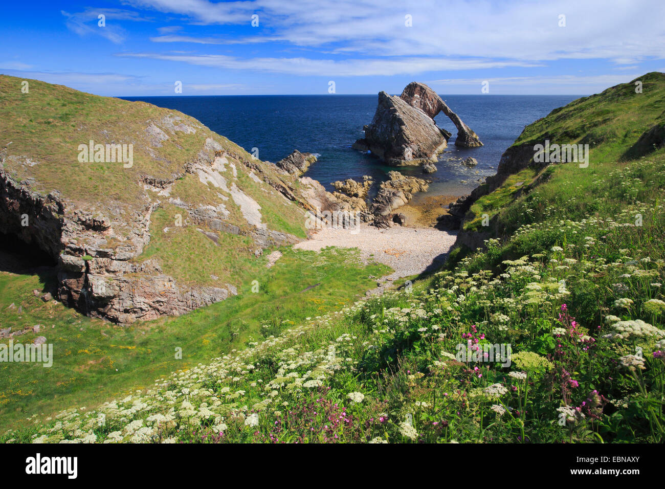 Bow Fiddle Rock at the coast, United Kingdom, Scotland Stock Photo - Alamy