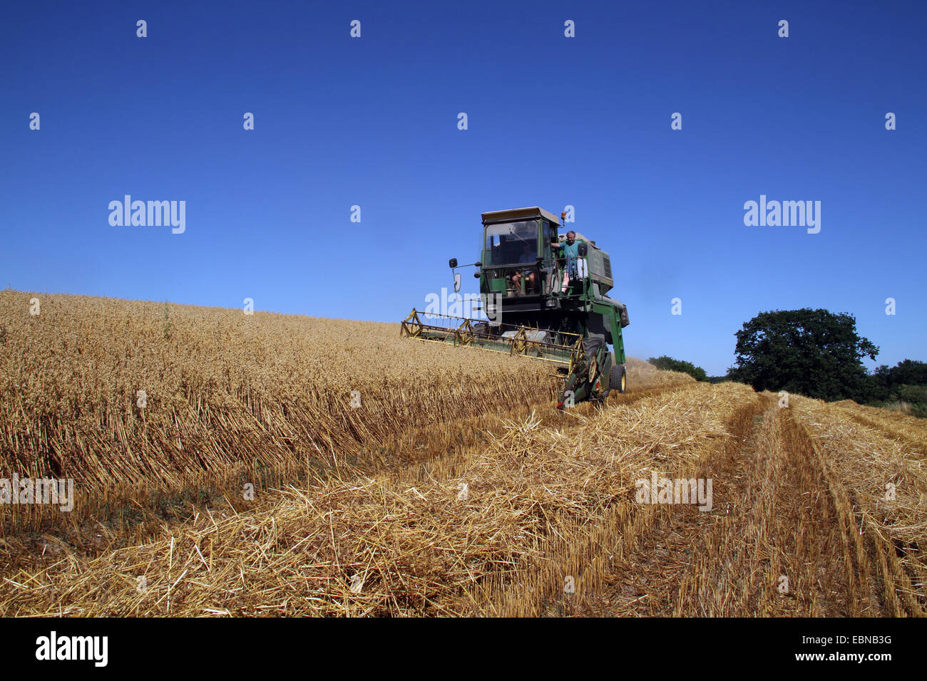 Harvester works on agricultural hi-res stock photography and images - Alamy